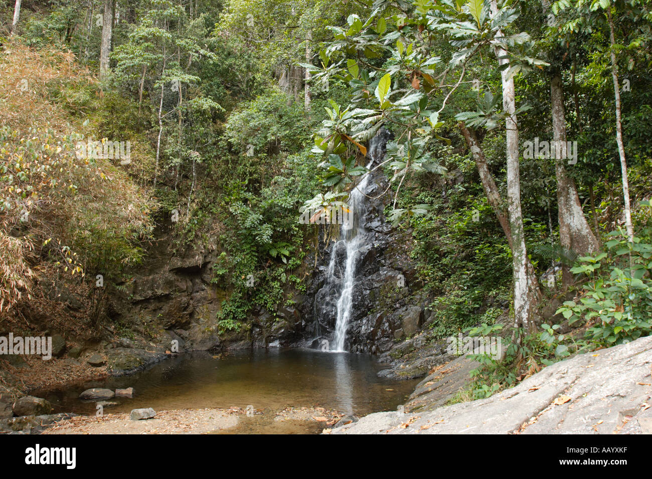 Durian perangin waterfall hi-res stock photography and images - Alamy