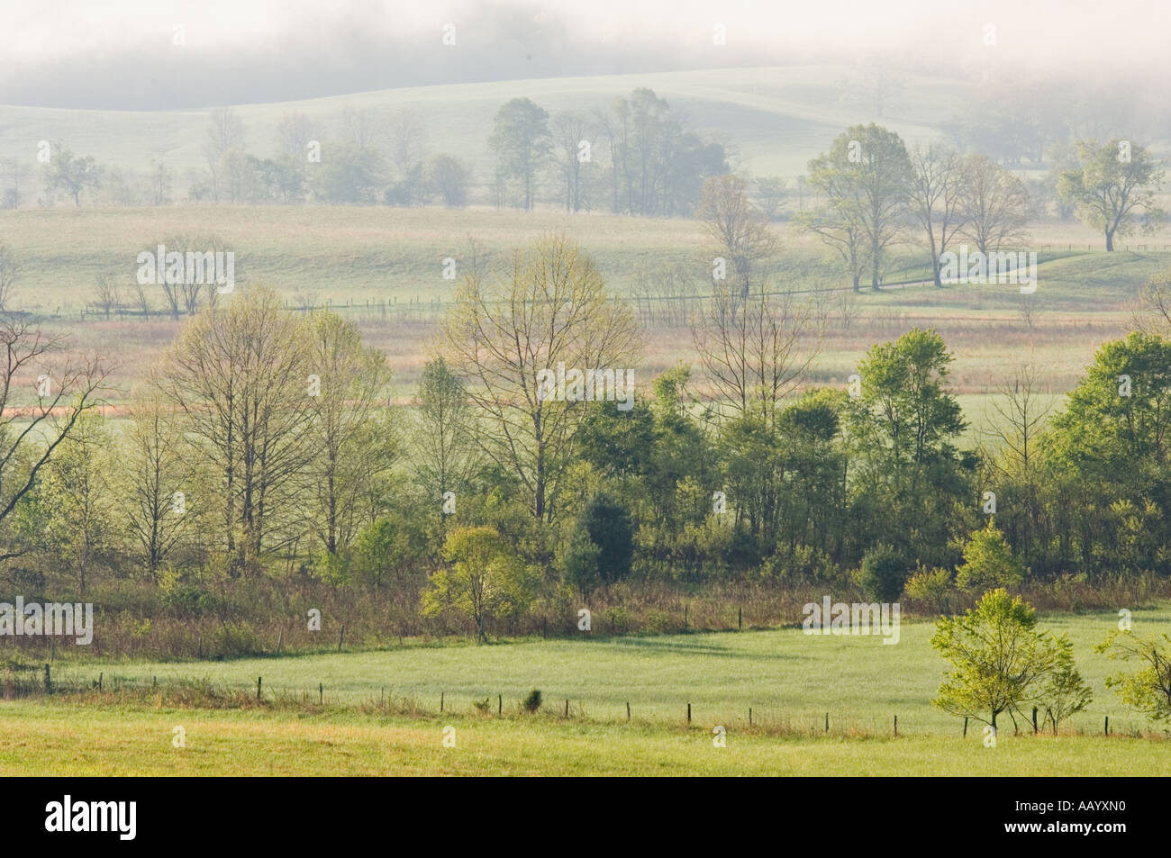 Pastoral Scene on Spring Day Cades Cove Great Smoky Mountains National ...