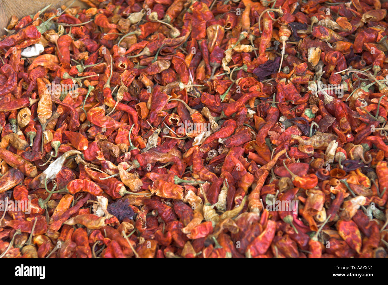 Dried chilli peppers red Stock Photo - Alamy