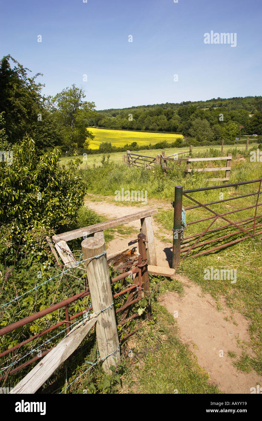 Albury Village Surrey Uk Stock Photos & Albury Village Surrey Uk Stock ...