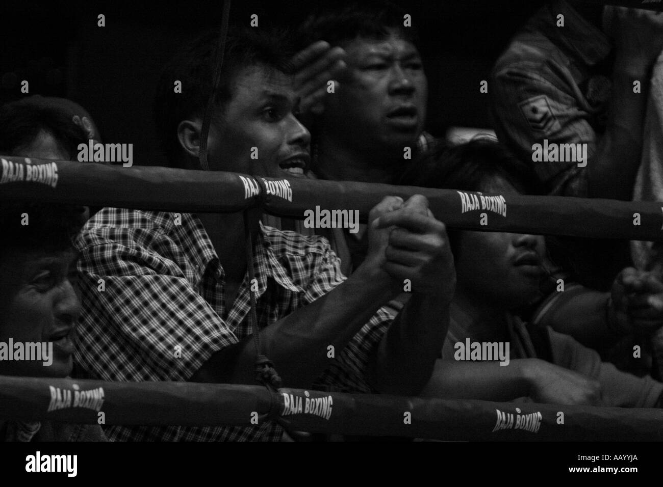 [Spectators watching Thai Boxing Bangkok] Stock Photo - Alamy