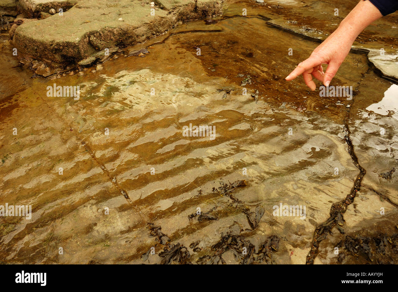 Fossilised ripples hi-res stock photography and images - Alamy