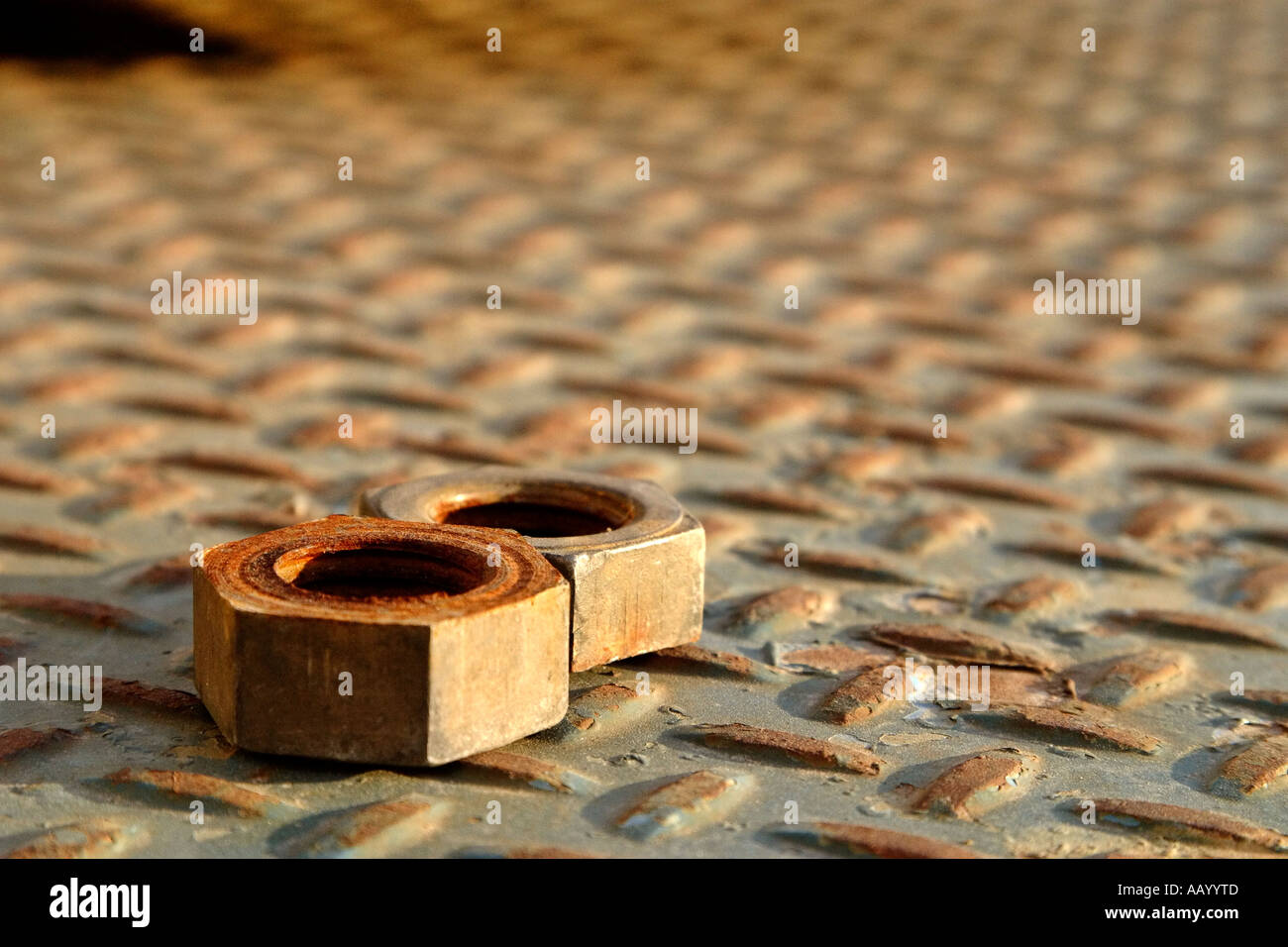 Moose nuts hi-res stock photography and images - Alamy