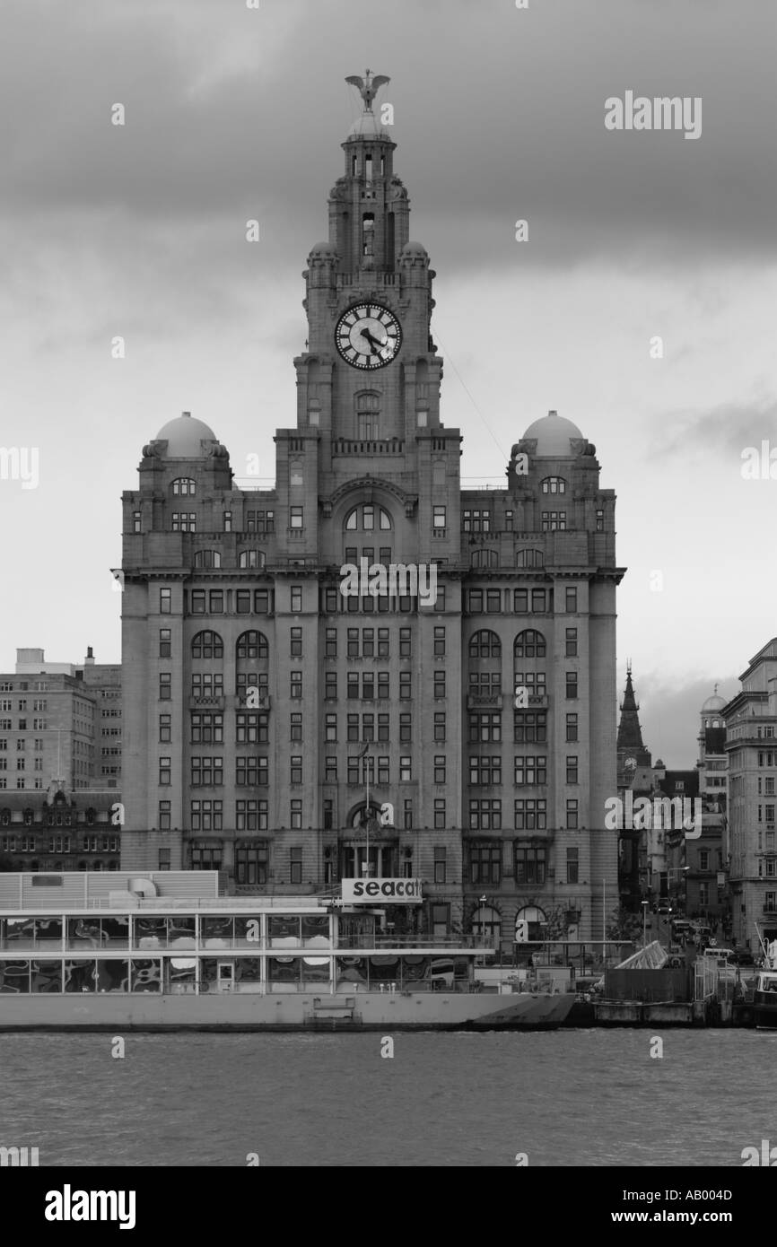 Liver building liver bird liverpool Black and White Stock Photos ...