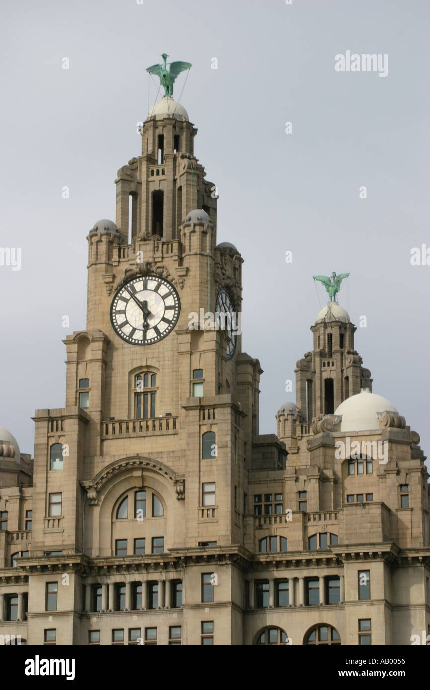 Mythical liver bird hi-res stock photography and images - Alamy