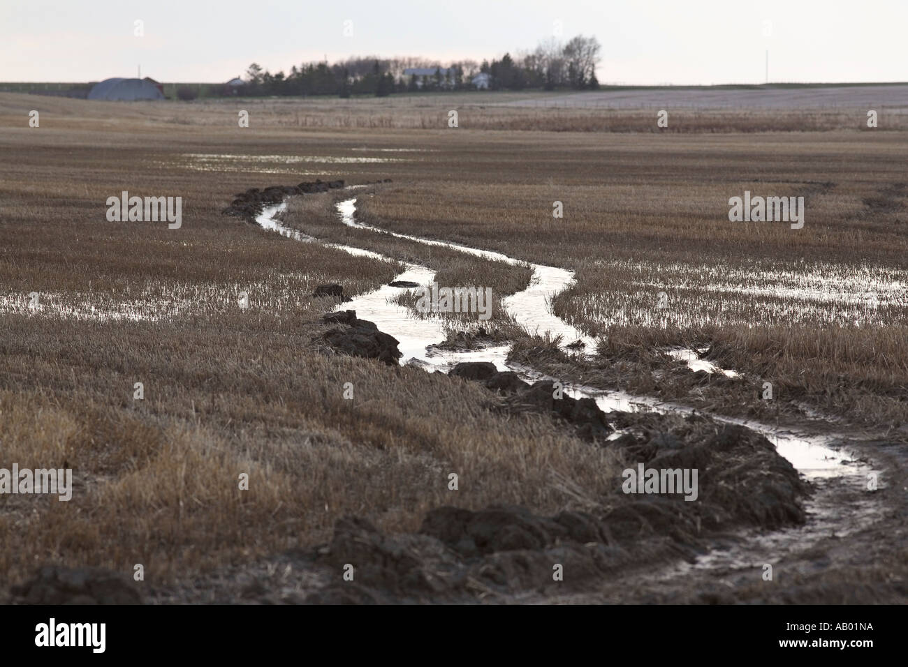 Tractor tracks through wet field in scenic Saskatchewan Canada Stock ...