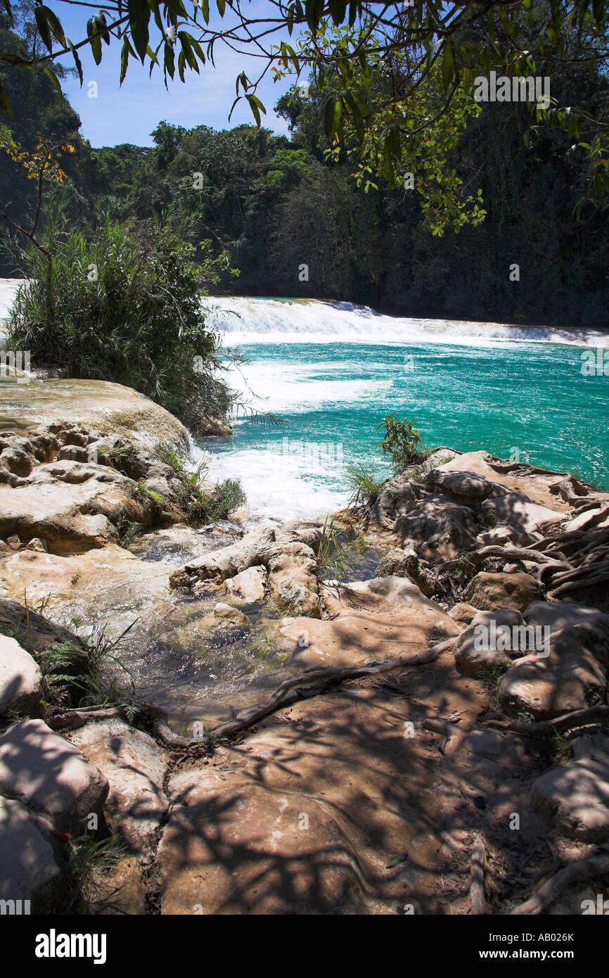 Cascada Agua Azul, Agua Azul Waterfall, Parque Nacional Agua Azul, near ...
