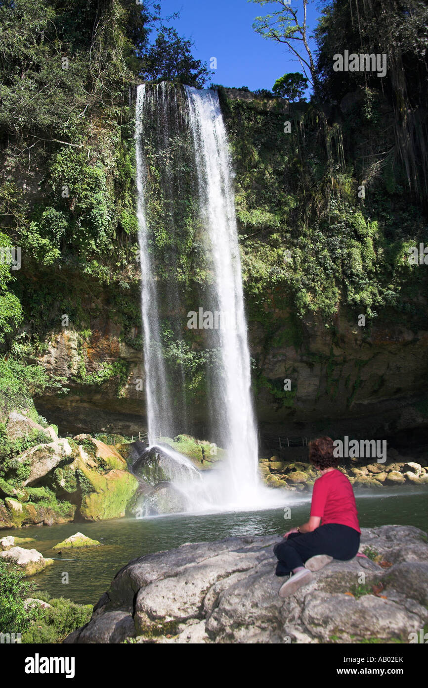 Cascada Misol Ha, Misol Ha Waterfall, near Palenque, Chiapas, Mexico ...