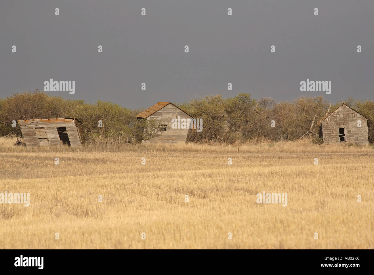 Old abandoned farm buildings in scenic Saskatchewan Canada Stock Photo ...