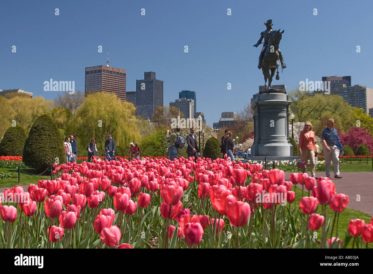 Arlington tulip gardens hi-res stock photography and images - Alamy