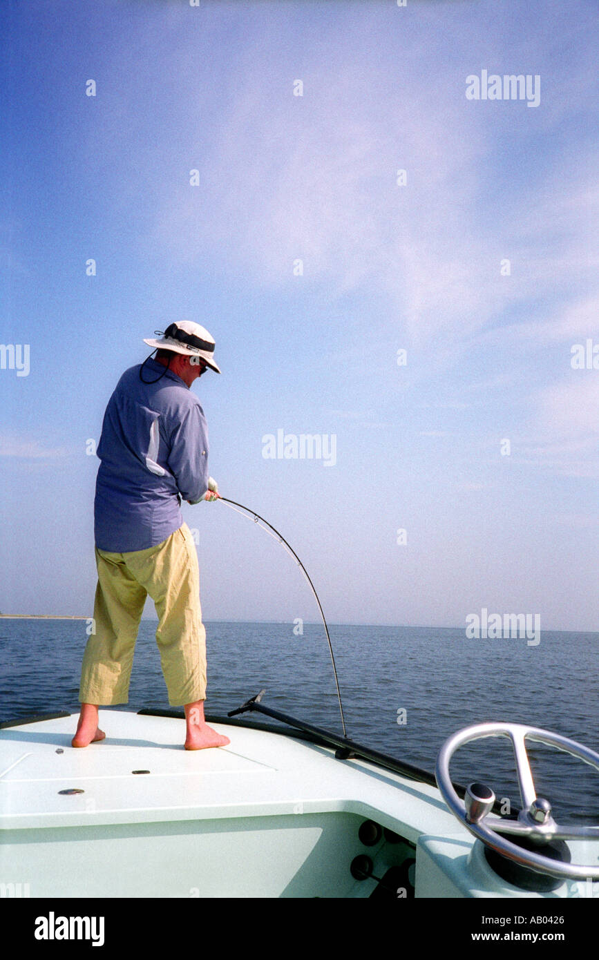Man reeling in fish while fly fishing in Savannah Georgia USA Model and ...
