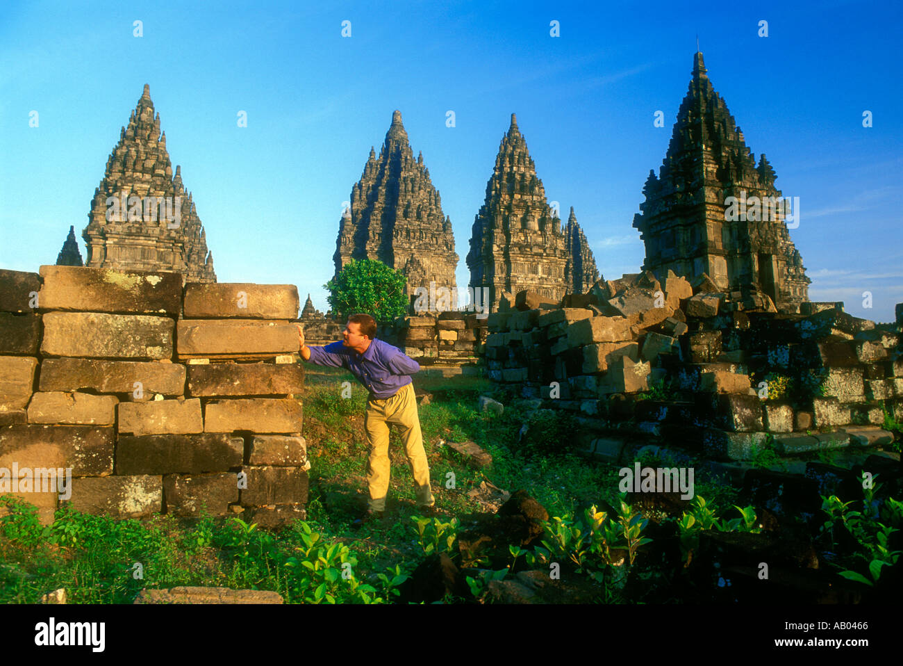 Java man site hi-res stock photography and images - Alamy