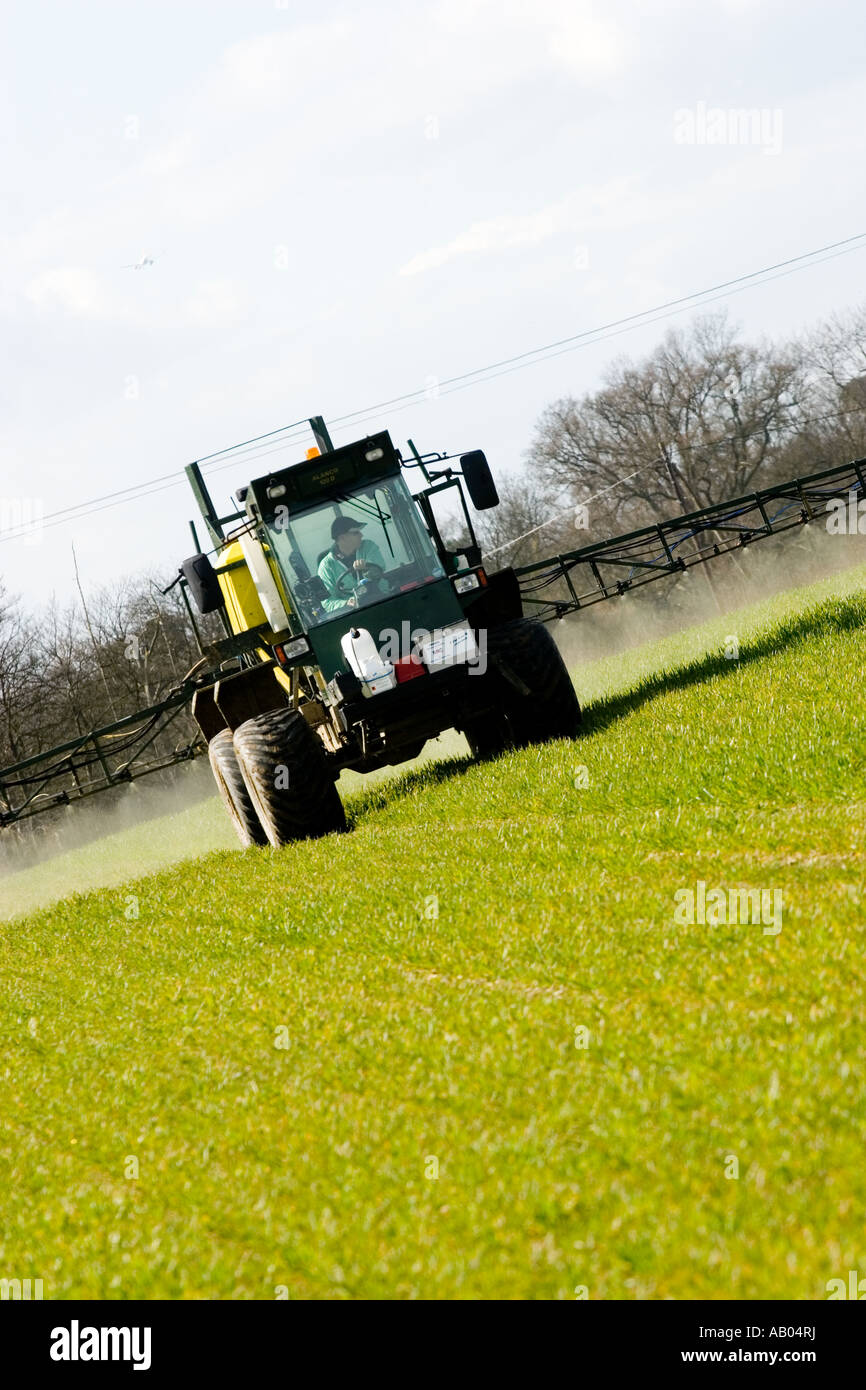 Spraying wheat with herbicides in Spring Stock Photo - Alamy