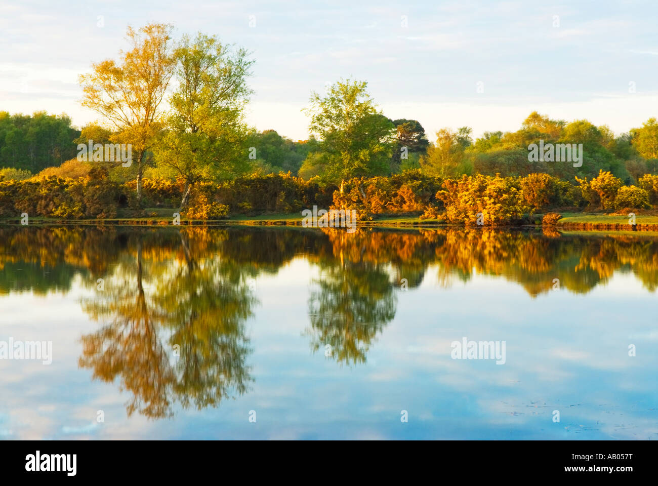 Whitten pond hi-res stock photography and images - Alamy