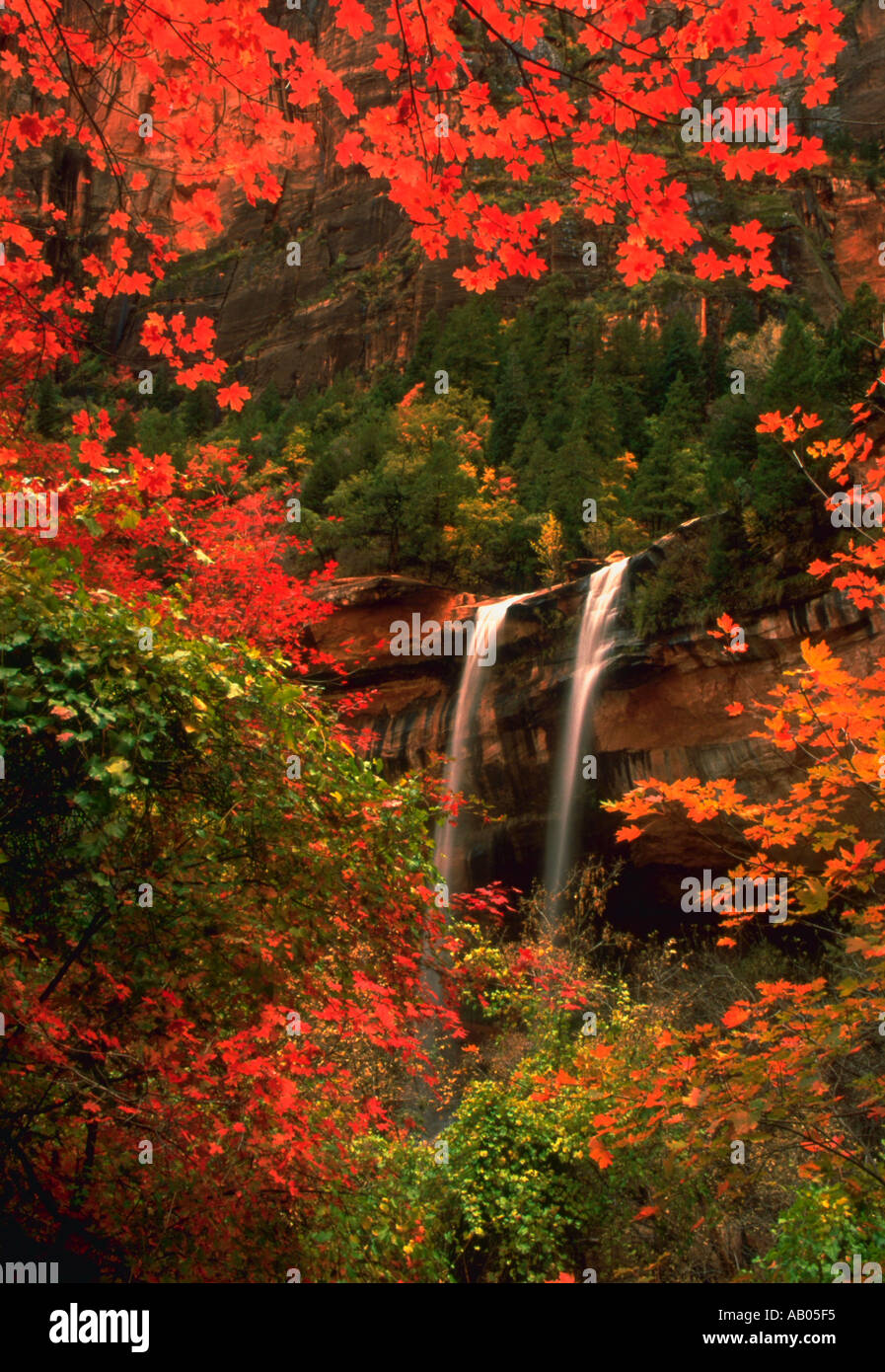 View of the ephemeral waterfalls above Lower Emerald Pool through the fall foliage in Zion ...