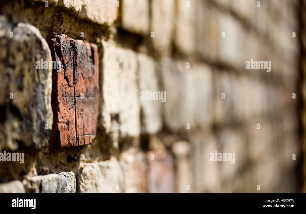 brick wall with isolated red brick showing Stock Photo - Alamy