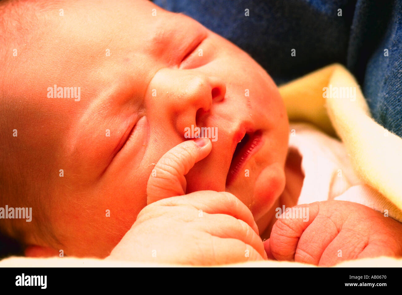 Close up portrait of newborn baby with eyes still closed Stock Photo ...