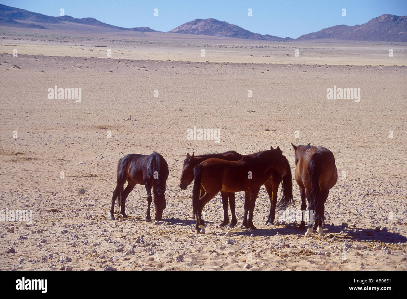 Nama people in namibia hi-res stock photography and images - Alamy