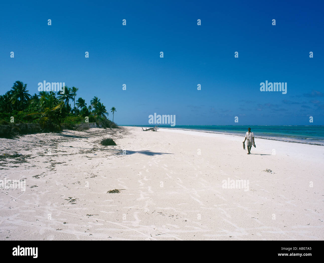 Palm trees bwejuu beach zanzibar hi-res stock photography and images ...