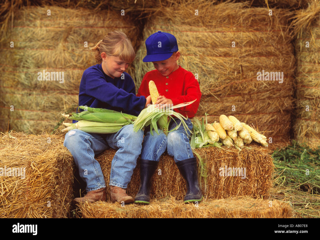 Agriculture - Farm children husking sweet corn on hay bales in a barn ...
