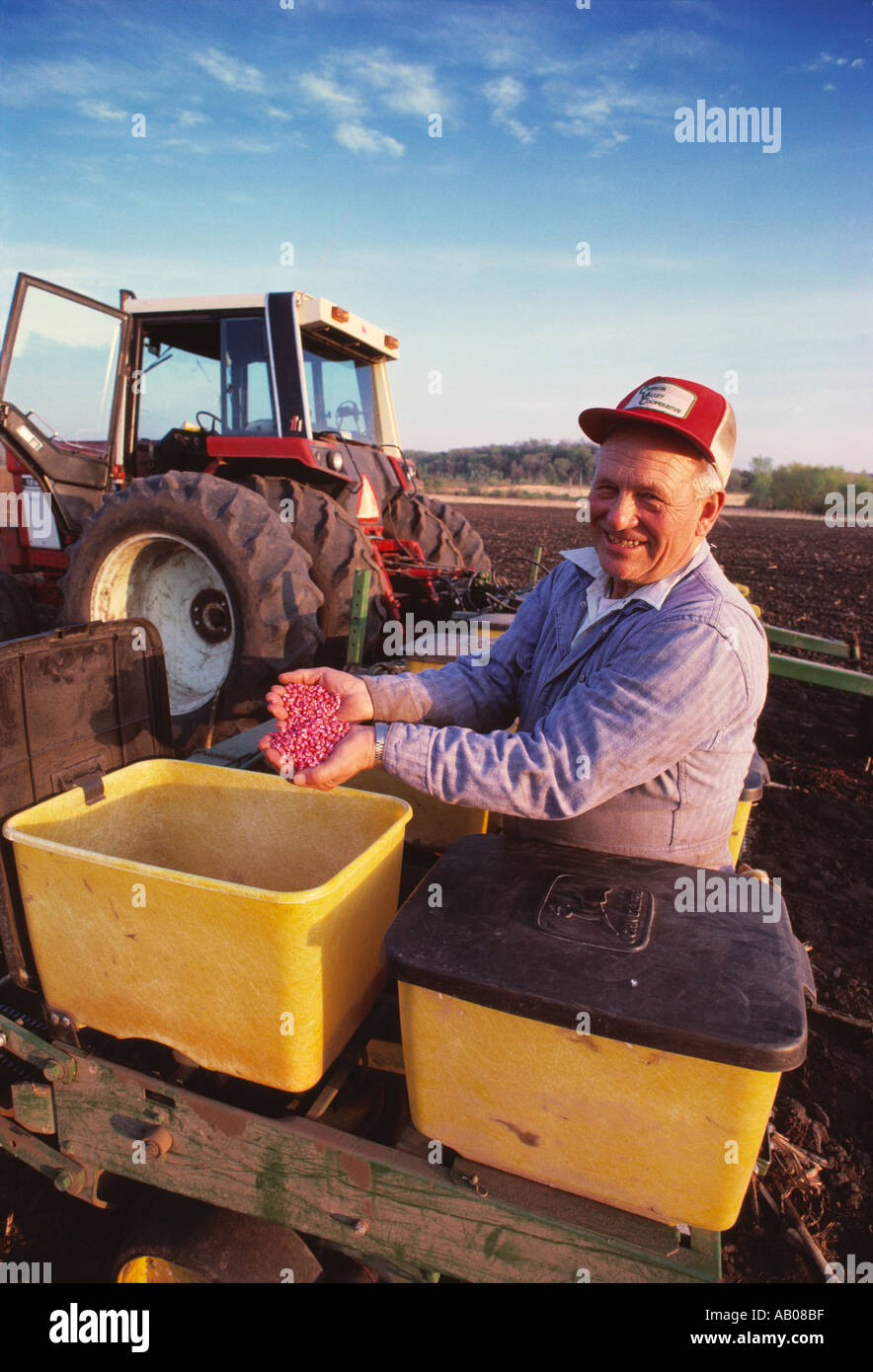 Agriculture - Farmer holding coated corn seed above a planter hopper as ...