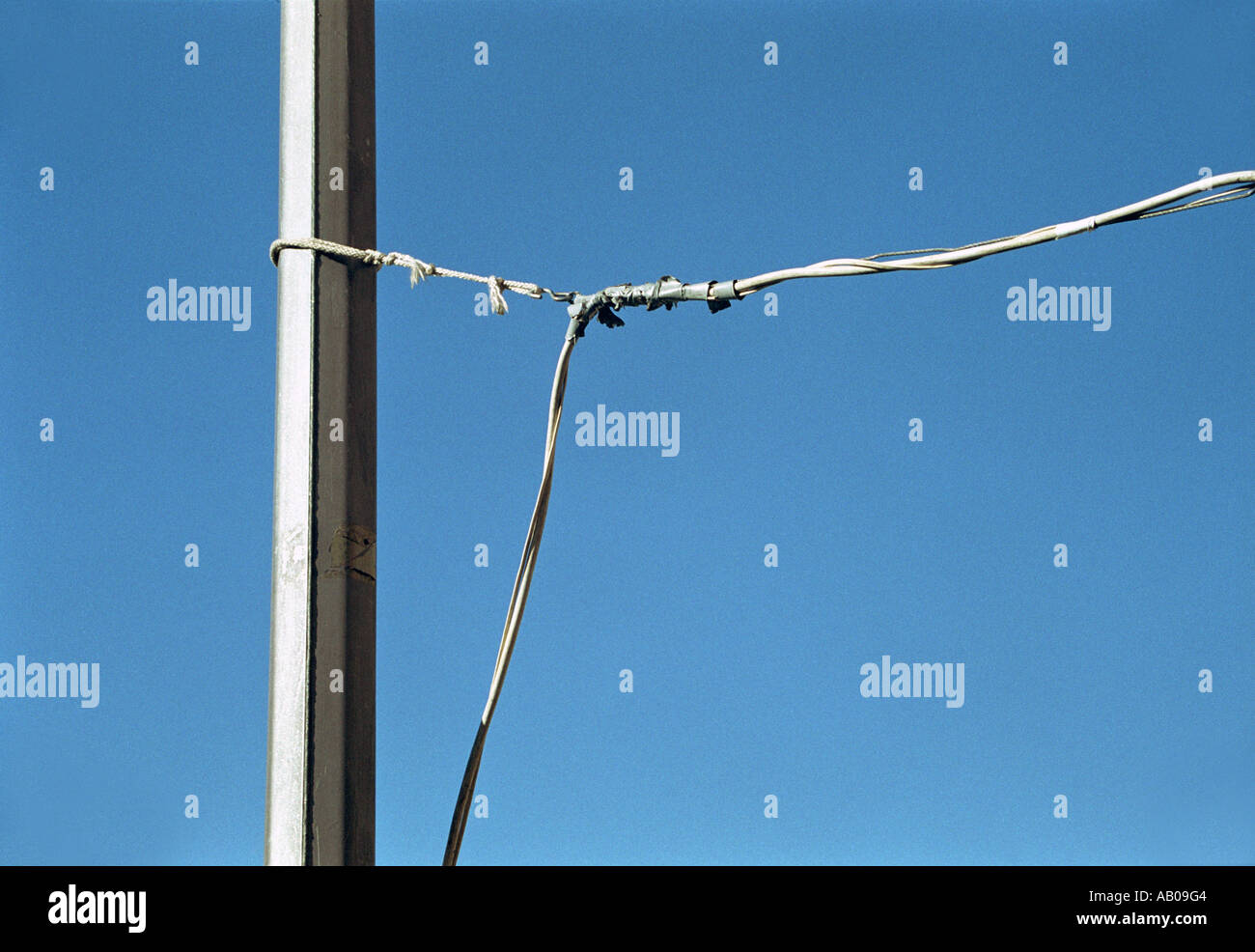 telegraph pole and tangled wires Stock Photo - Alamy