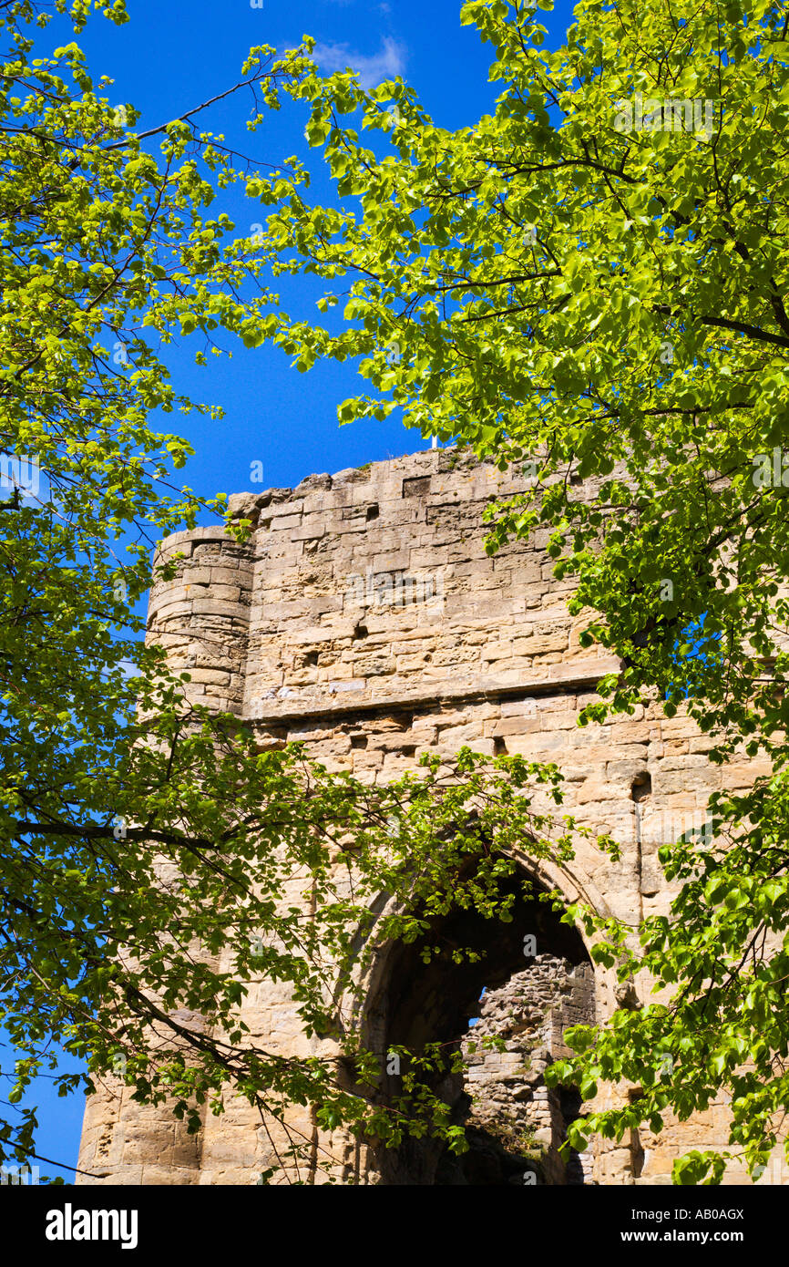 Knaresborough Castle in Spring Knaresborough North Yorkshire England ...