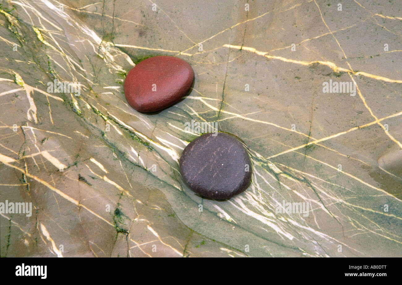 The beach two pebbles lieing on top of wet rock Scottish Borders ...