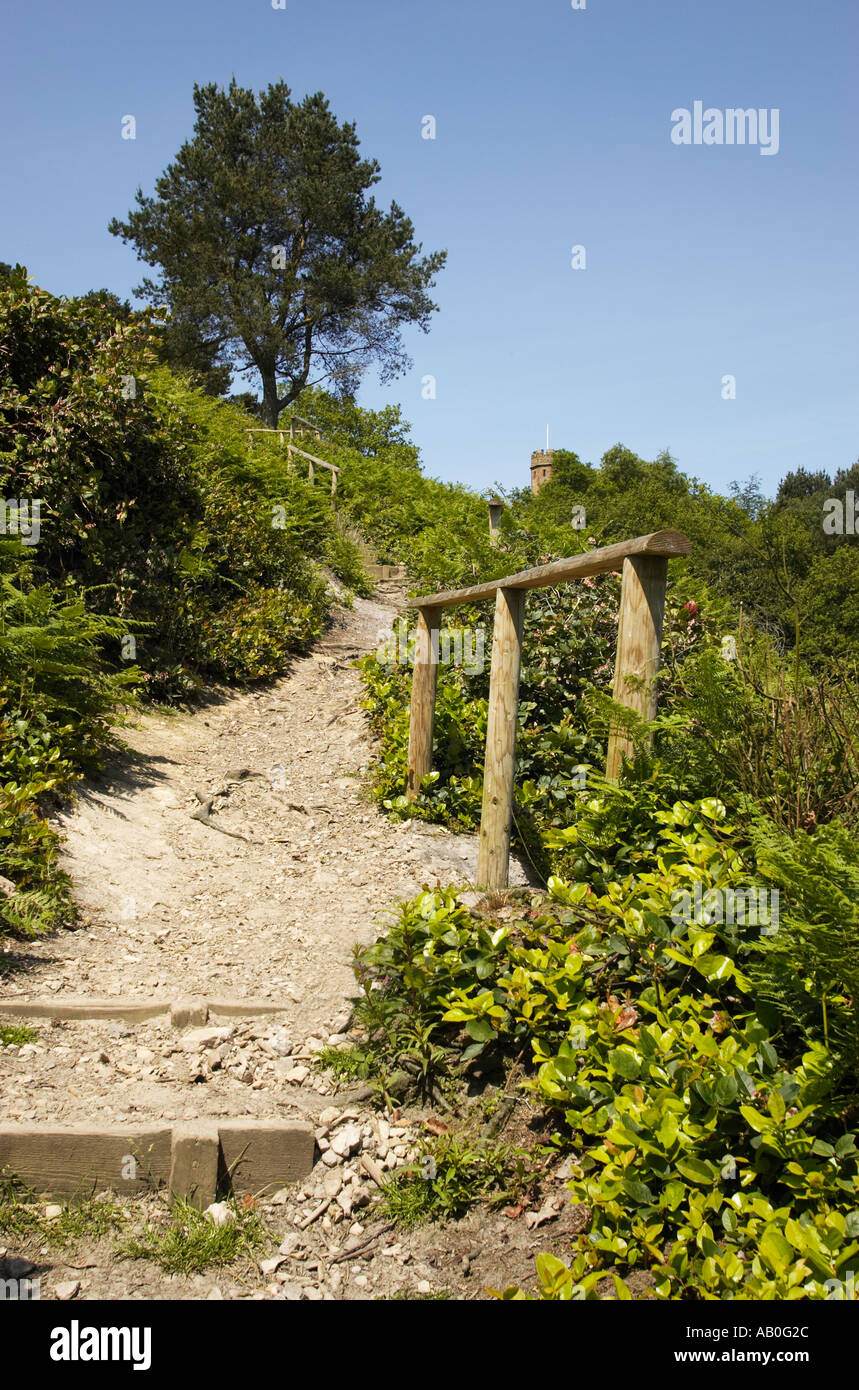 Steep steps up hillside in hi-res stock photography and images - Alamy