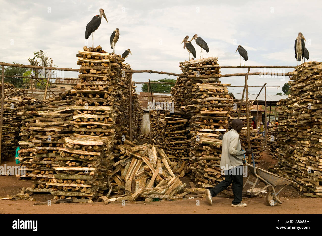Ggaba Road Fishing Landing Stock Photo - Alamy