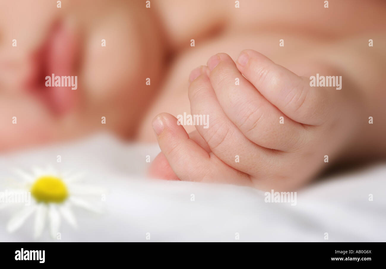 Infant hand front and back hi-res stock photography and images - Alamy