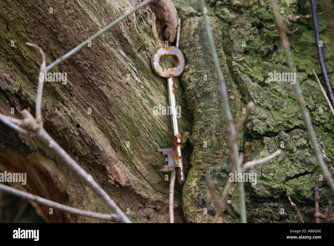 Mortice key hi-res stock photography and images - Alamy