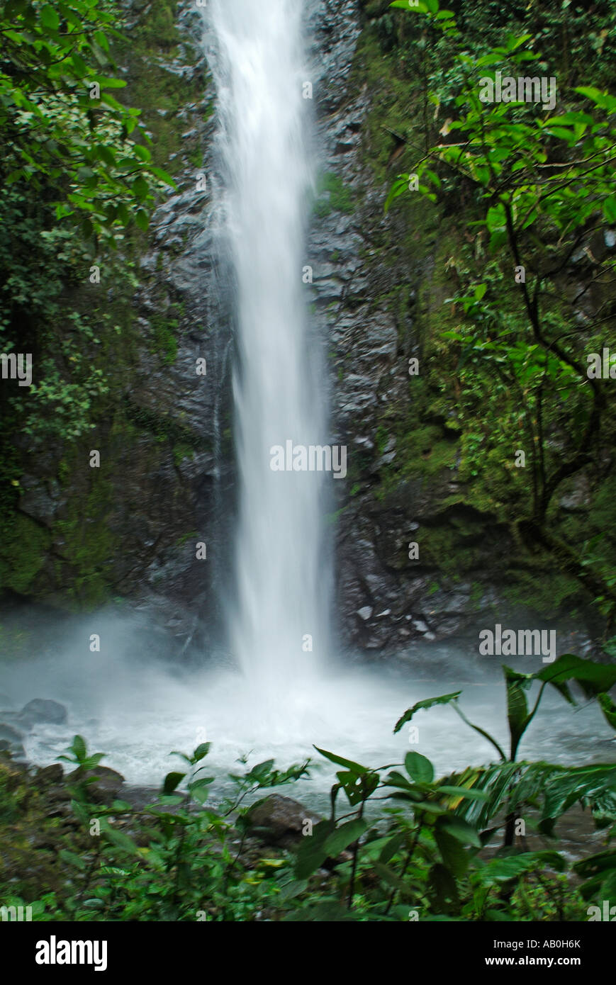 Waterfall HOPE on the river Bravo in the National Park Mindo-Nambillo ...