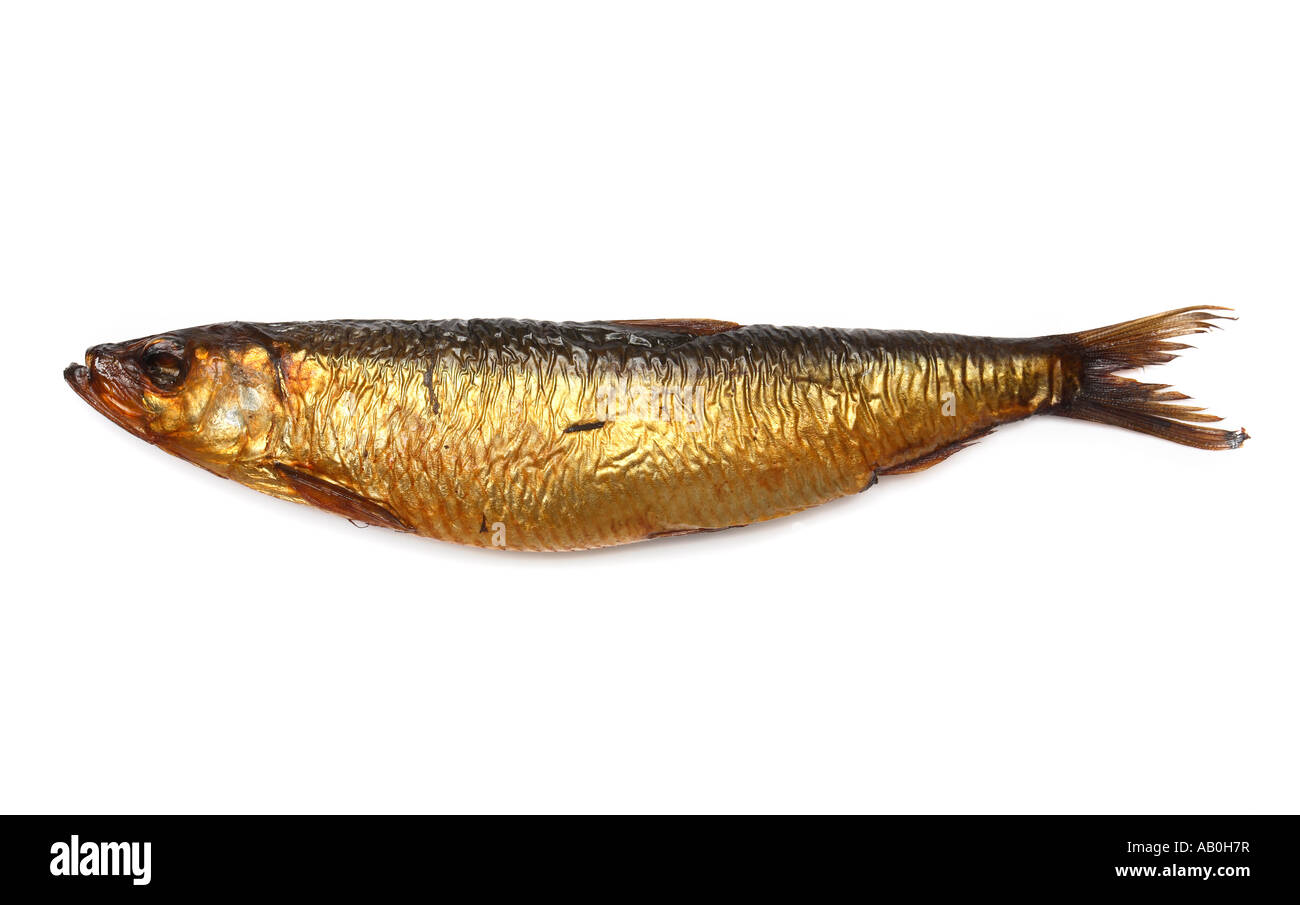smoked fish isolated on white Stock Photo - Alamy