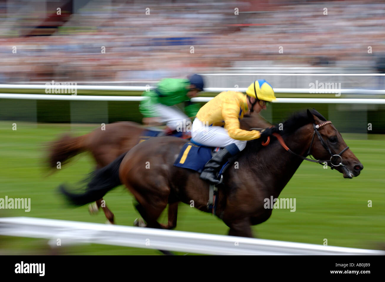 Horse race winner hi-res stock photography and images - Alamy
