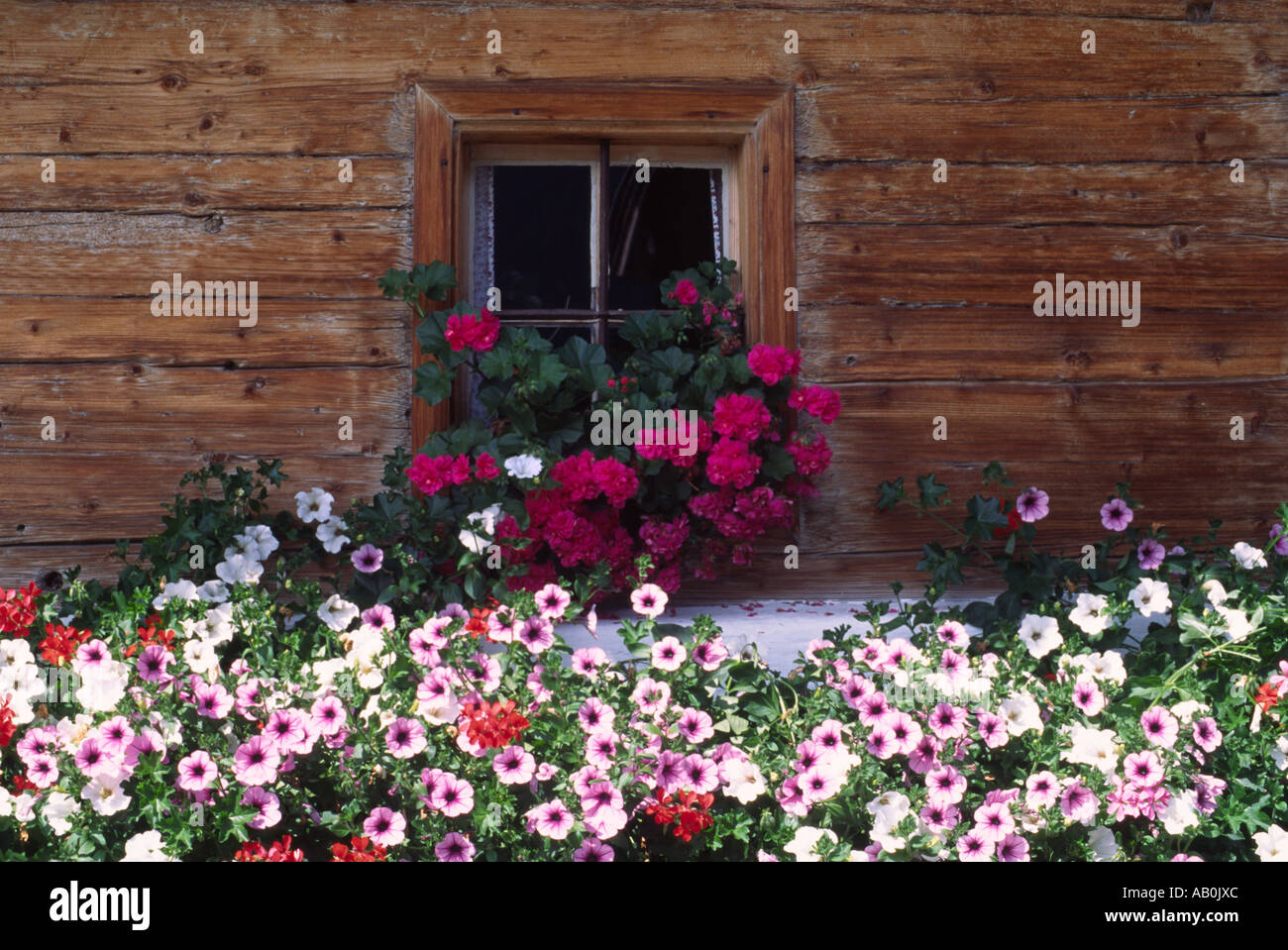 Flower decorated hi-res stock photography and images - Alamy