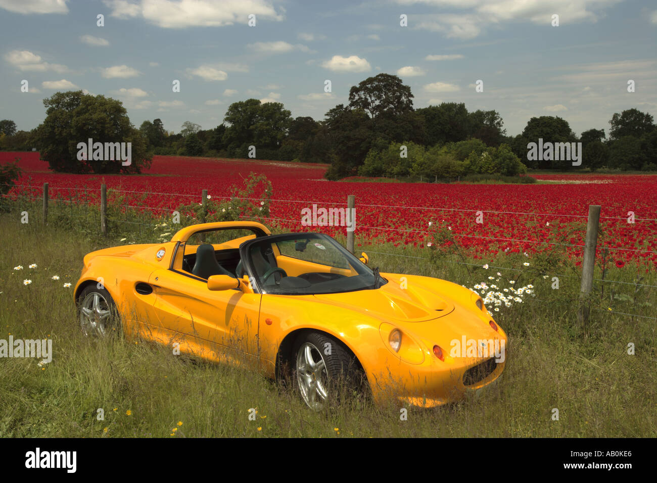 Yellow sports car poppy background Stock Photo - Alamy
