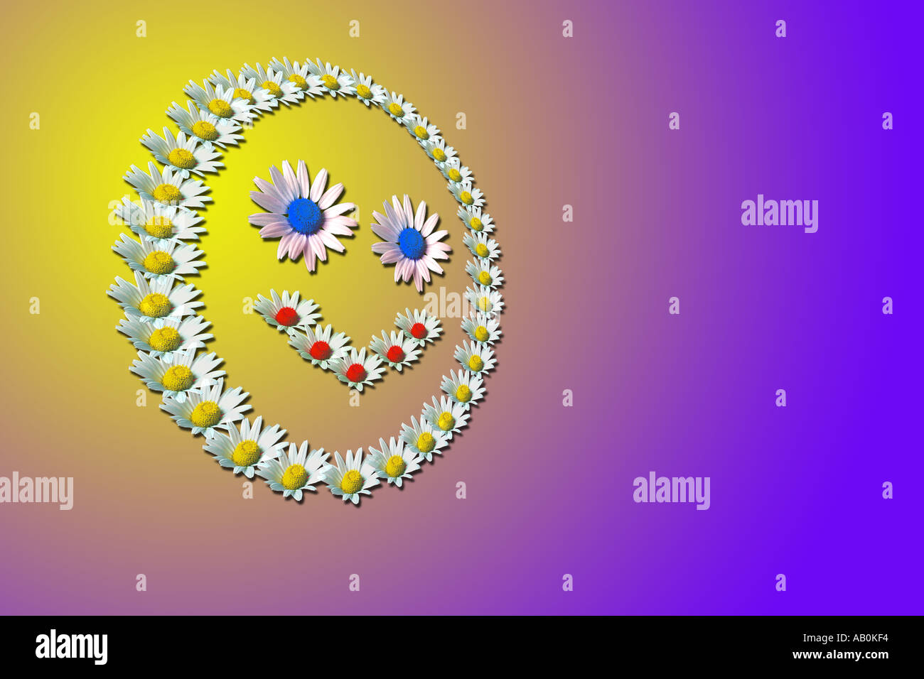 Daisy smiley face hi-res stock photography and images - Alamy