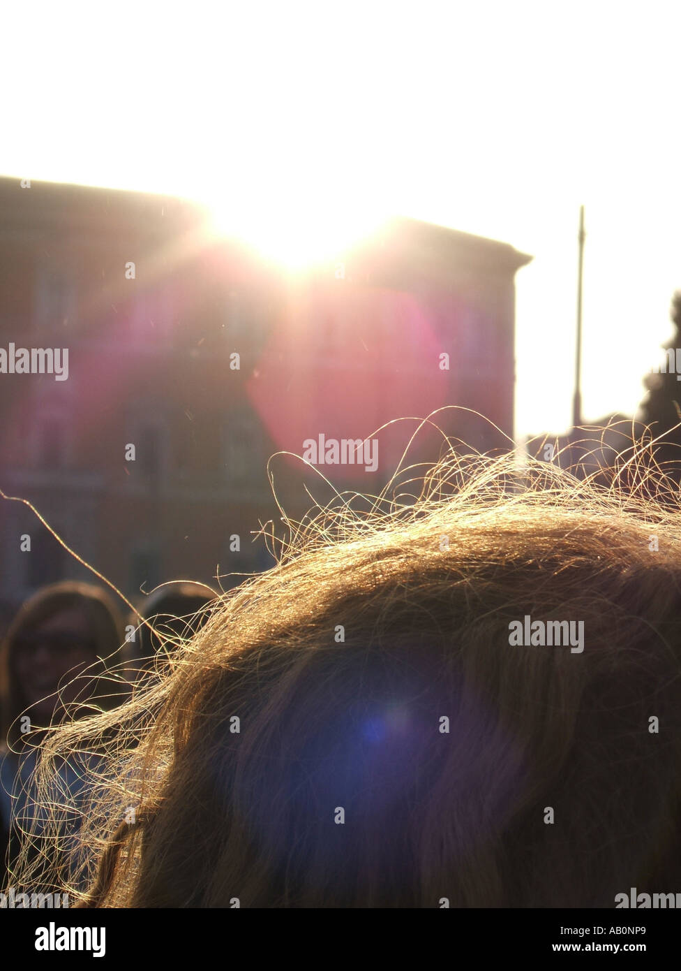 woman's hair backlit in sun Stock Photo - Alamy