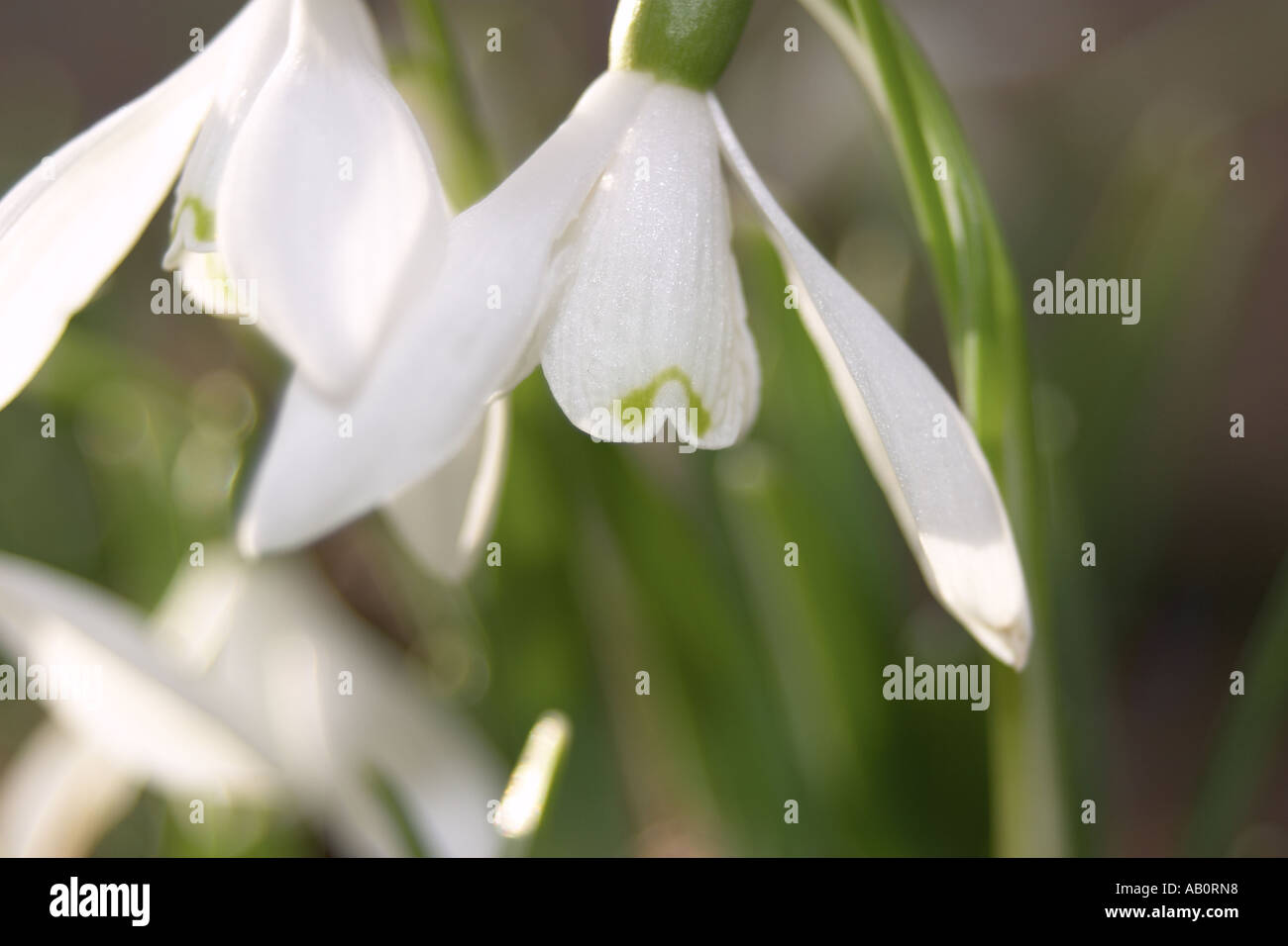 Bright sunshine in wales hi-res stock photography and images - Alamy