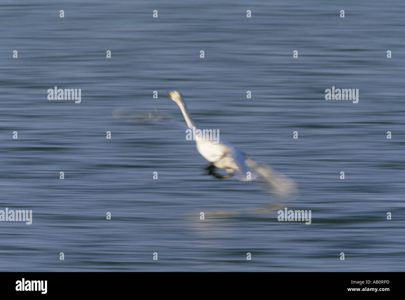 Slow pan movement hi-res stock photography and images - Alamy