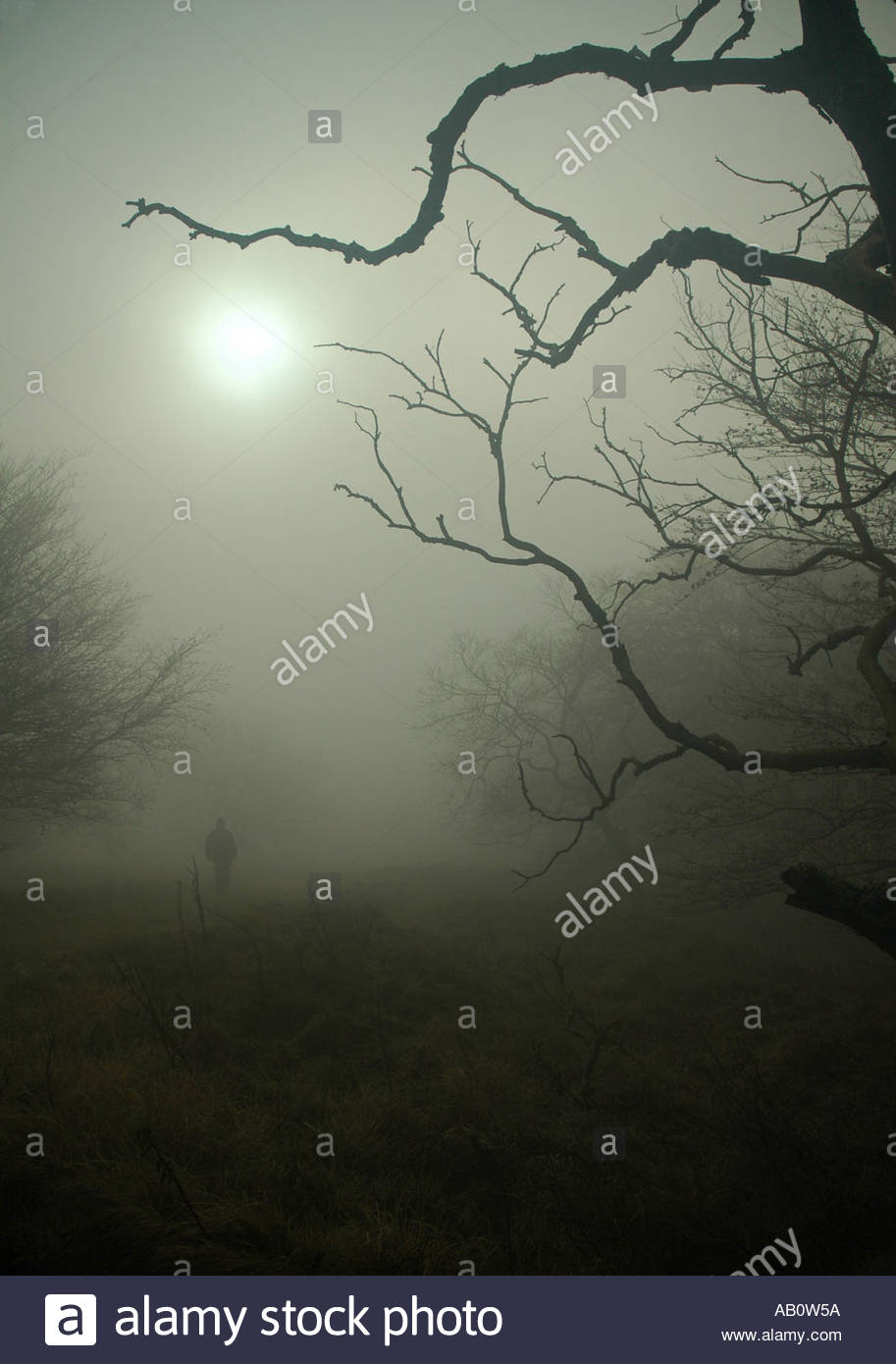 Gray moor hi-res stock photography and images - Alamy