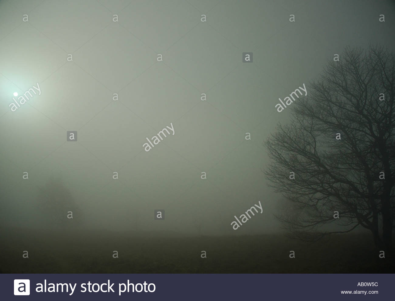 Gray moor hi-res stock photography and images - Alamy