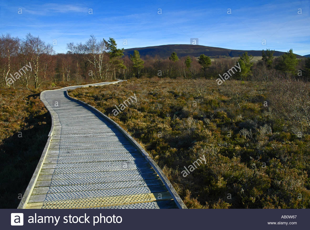 Wooden duckboard hi-res stock photography and images - Alamy
