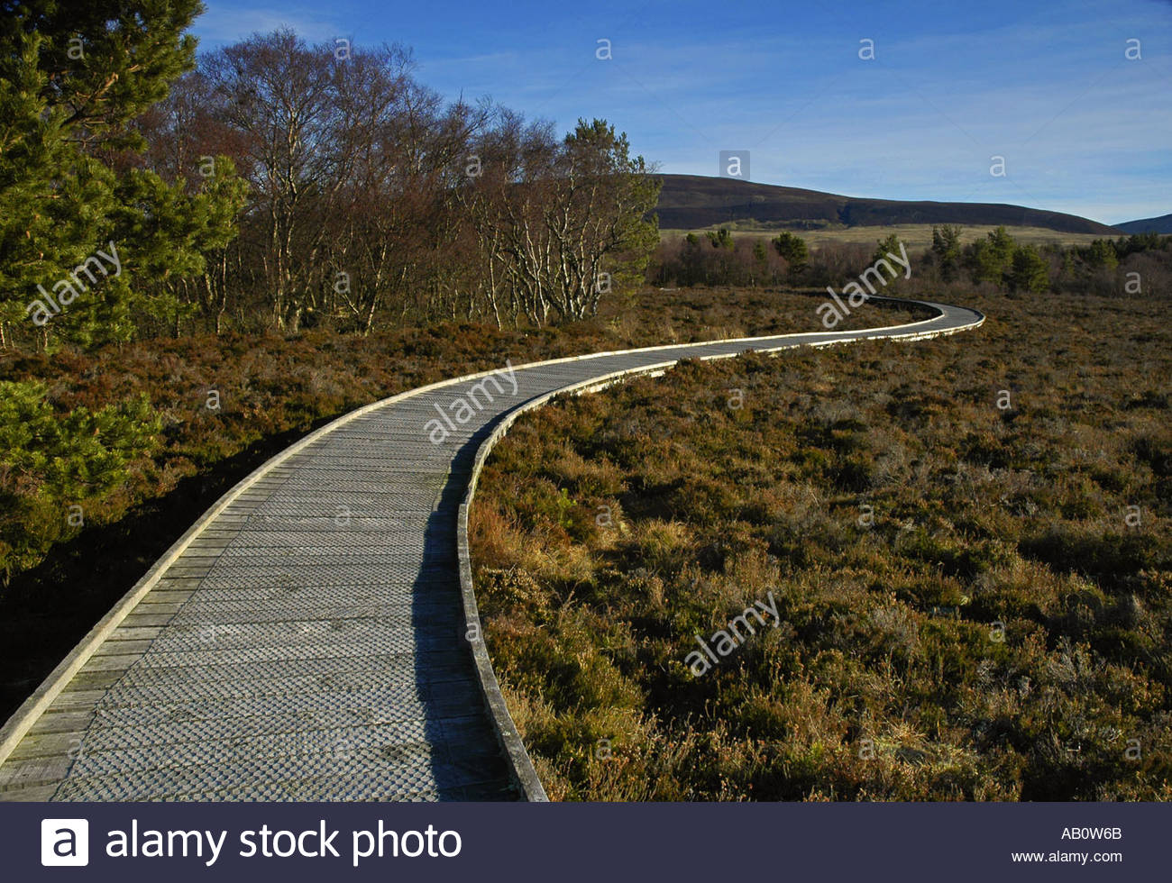 A raised Duckboard path on a Scottish moor Stock Photo - Alamy