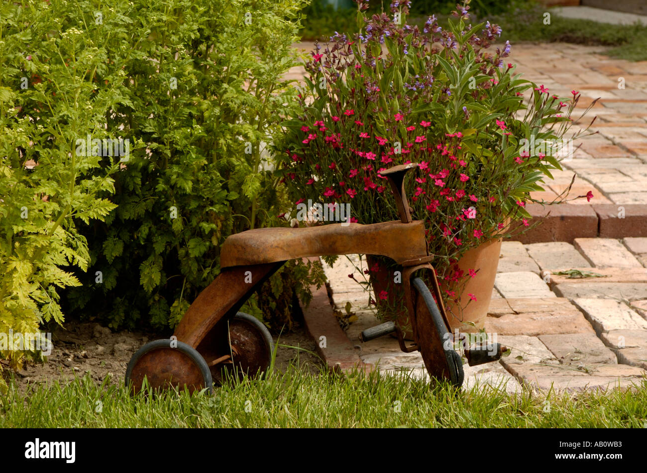 Antique rusty tricycle sitting in yard Stock Photo - Alamy