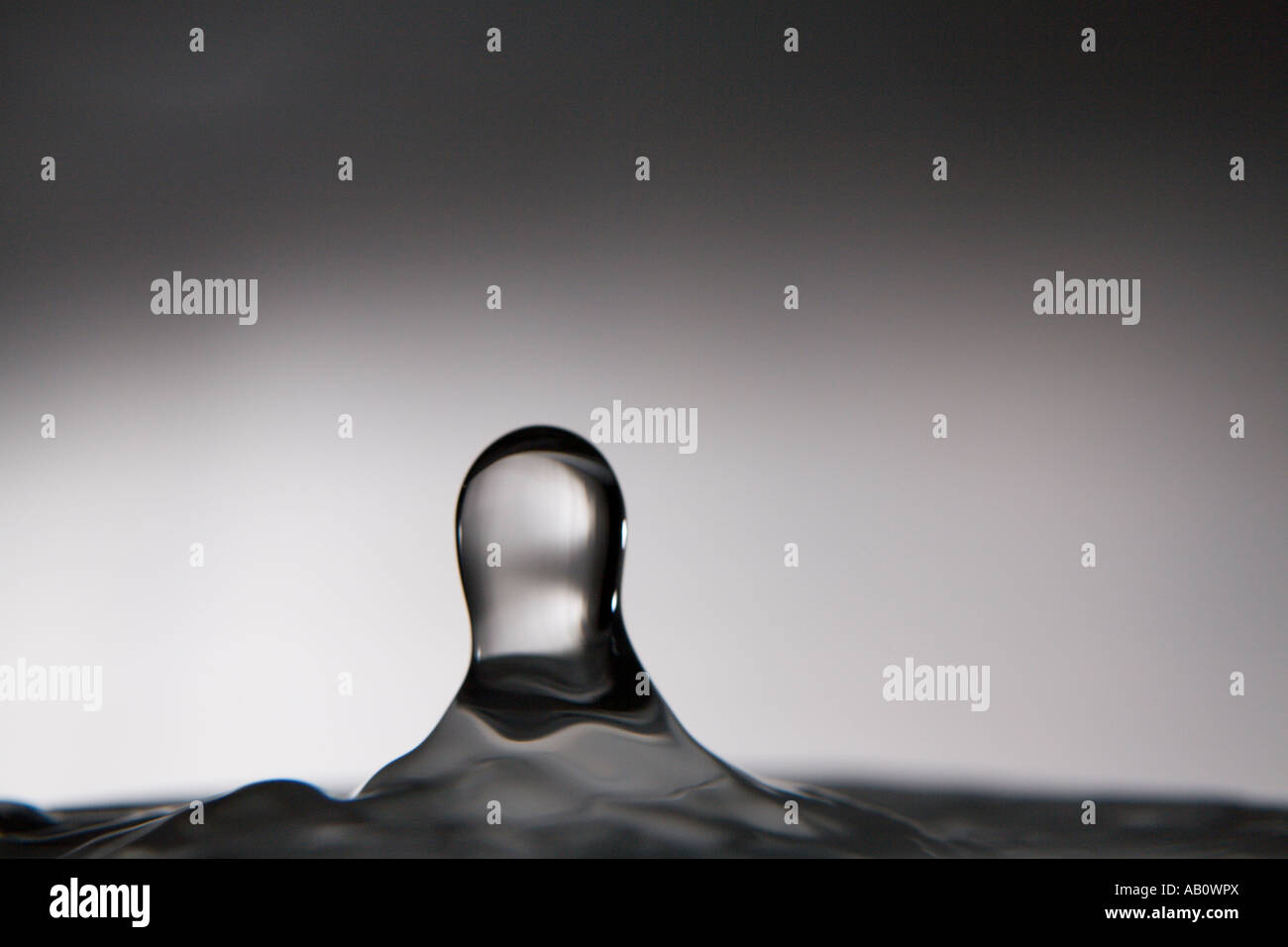 the splash from a drop of water Stock Photo - Alamy