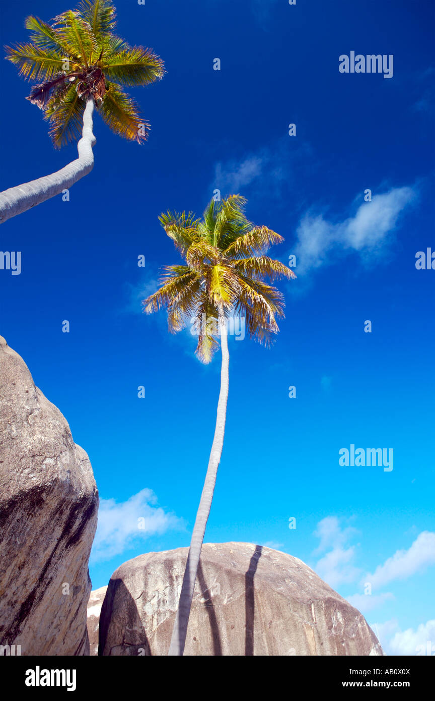 Two palm trees near huge stones with a bit cloudy blue sky The Baths ...