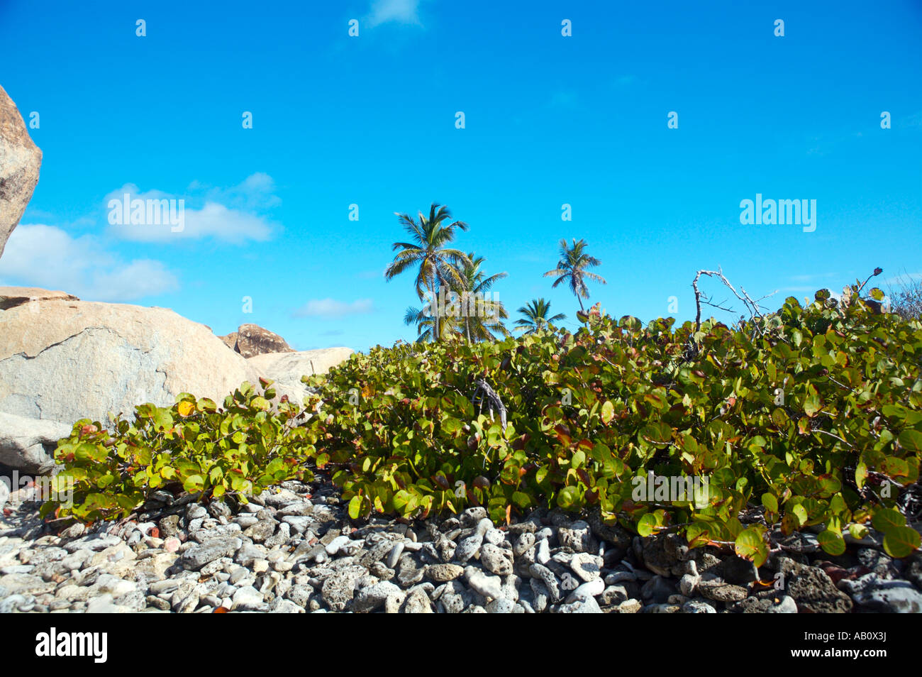 The Baths National Park Virgin Gorda British Virgin Islands BVI Stock ...