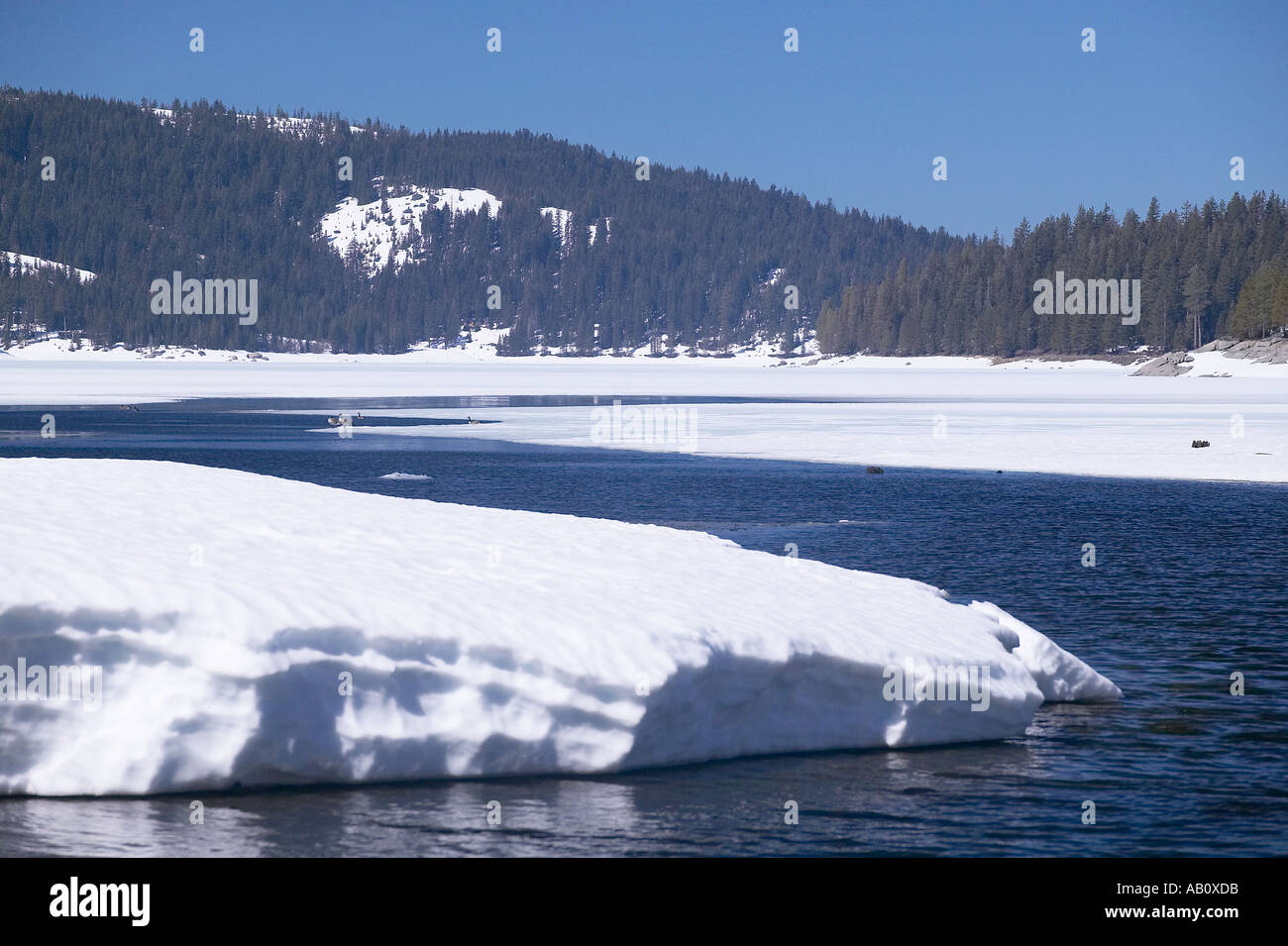 Snow white winter scene on Buck s Lake in the Sierra Mountains in ...